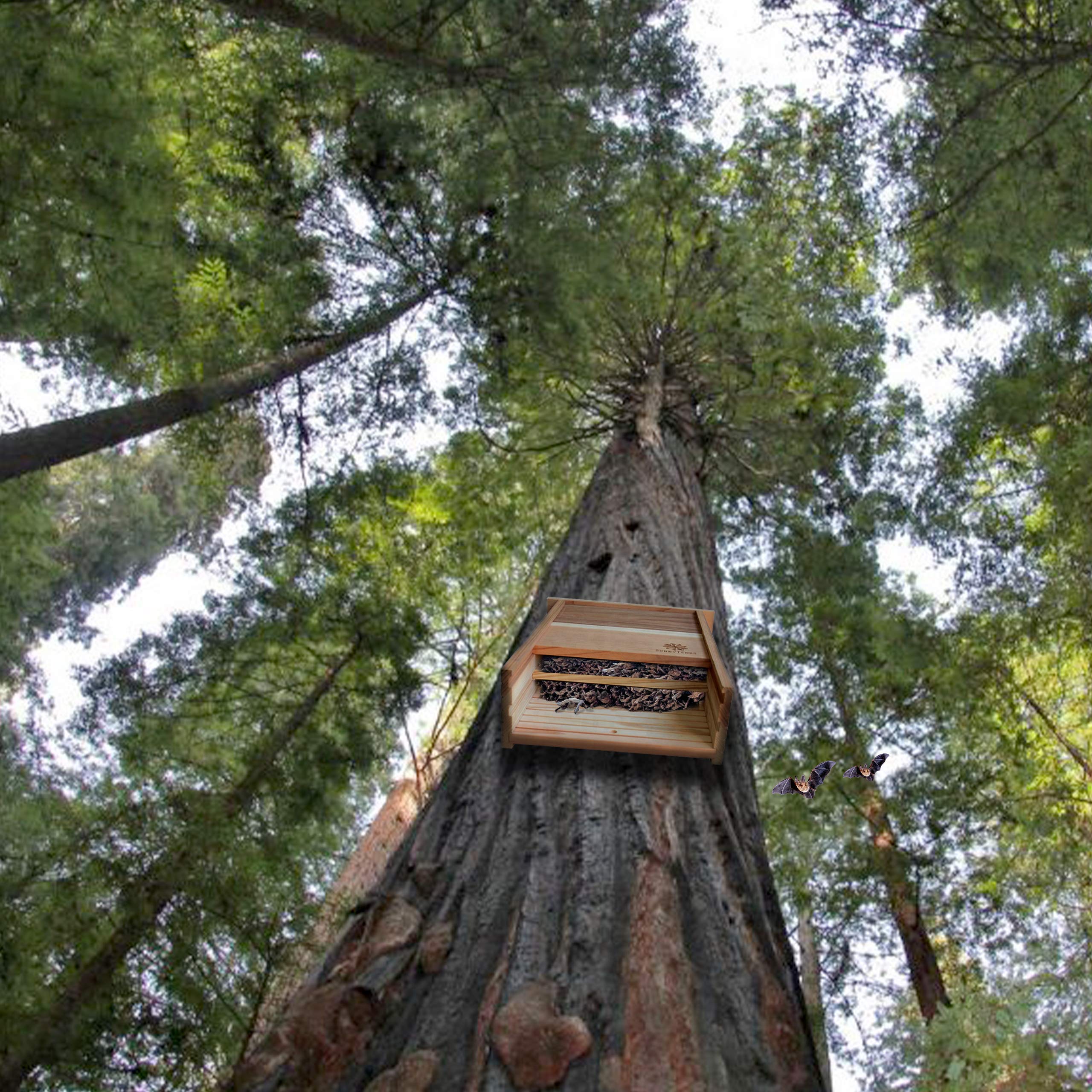 Bat Houses for Outdoors with Improved Airflow to Both Chambers - Bat Boxes for Outside with Easy Grip Surfaces- Large Bat House for a Safe Nesting Environment - Weather and Insect Resistant Cedar
