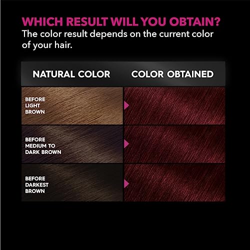 Garnier Hair Color Olia Ammonia-Free Brilliant Color Oil-Rich Permanent Hair Dye, 4.62 Dark Garnet Red, 1 Count (Packaging May Vary)