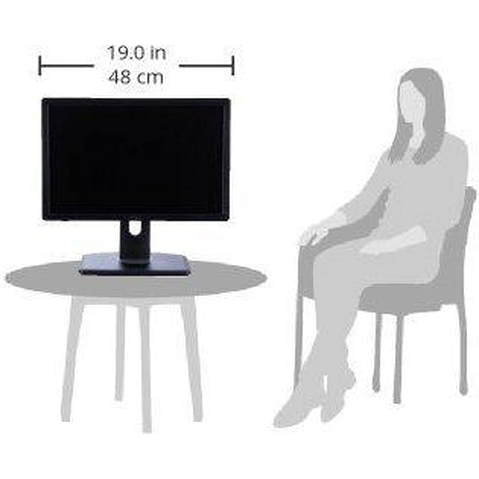 Dell Professional P1913 19-Inch PLHD Widescreen Monitor