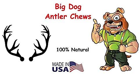 Big Dog Antler Chews - One Pound Pack of Sun-Aged Deer and Elk Antler Dog Bone Chews - Natural Healthy Long-Lasting Treat
