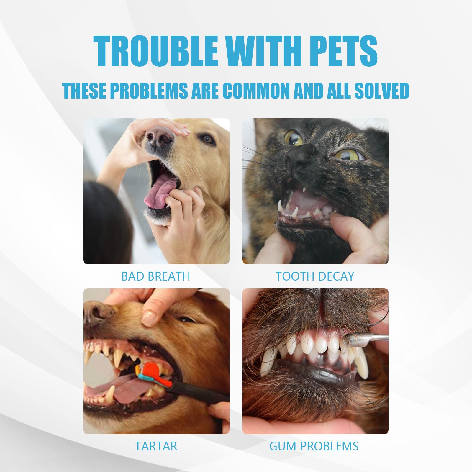 Dog Toothpaste Mint for Dogs and Puppies, Fresh Breath Dental Kit for Pets Teeth Cleaning 60g