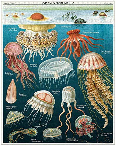 Cavallini Papers & Co. Jelly Fish 1,000 Piece Puzzle, Multi