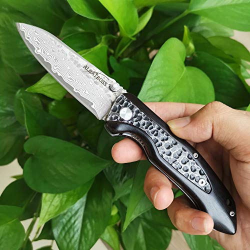ALBATROSS Ebony wood 7.5" EDC Sharp Damascus Folding Pocket Knife with Liner Lock - Gift Box - HGDK011