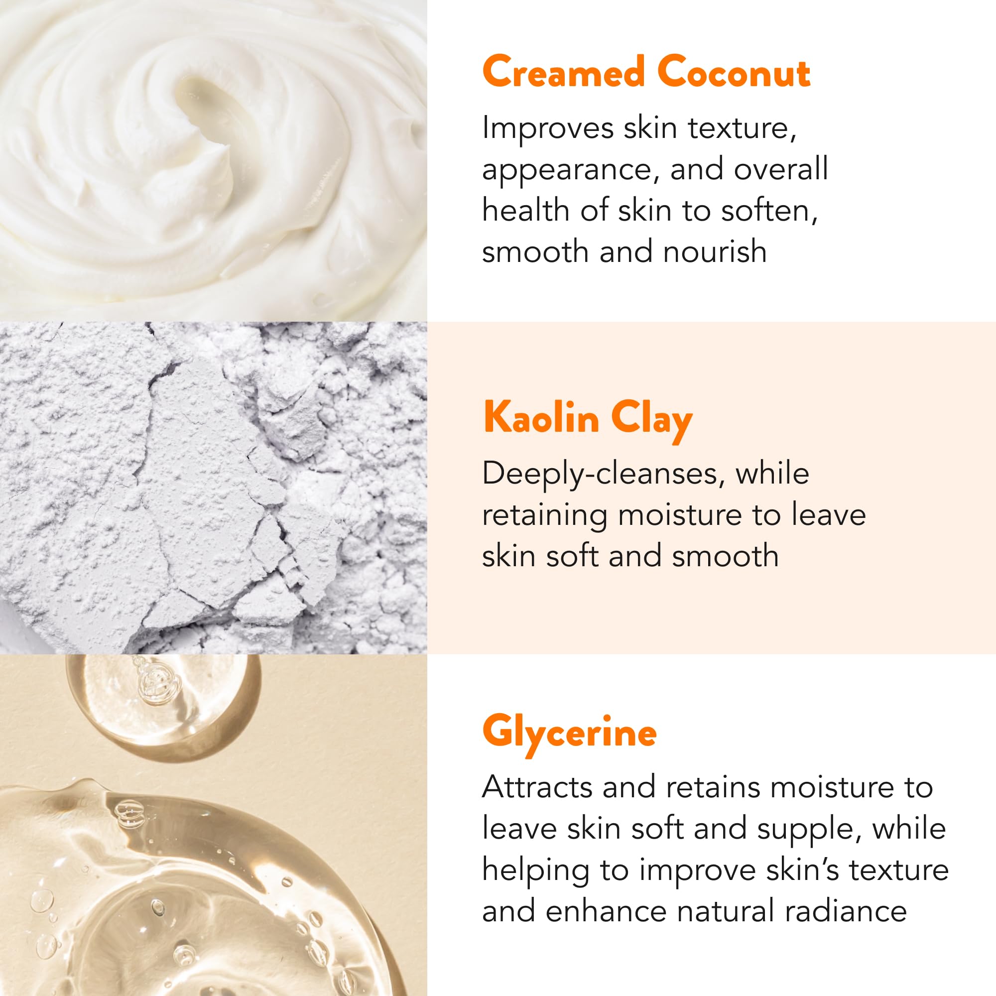 Ethique Gingersnap - Gentle Natural Solid Face Scrub - Exfoliating Face Cleanser for All Skin Types -Vegan, Eco-Friendly- Zero-Waste, Plastic-Free, Cruelty-Free, 3.53 oz (Pack of 1: 4 bars)