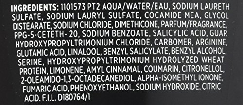 L'Oreal Paris Elvive Total Repair 5 Repairing Shampoo, 20 Fl Oz (Packaging May Vary)