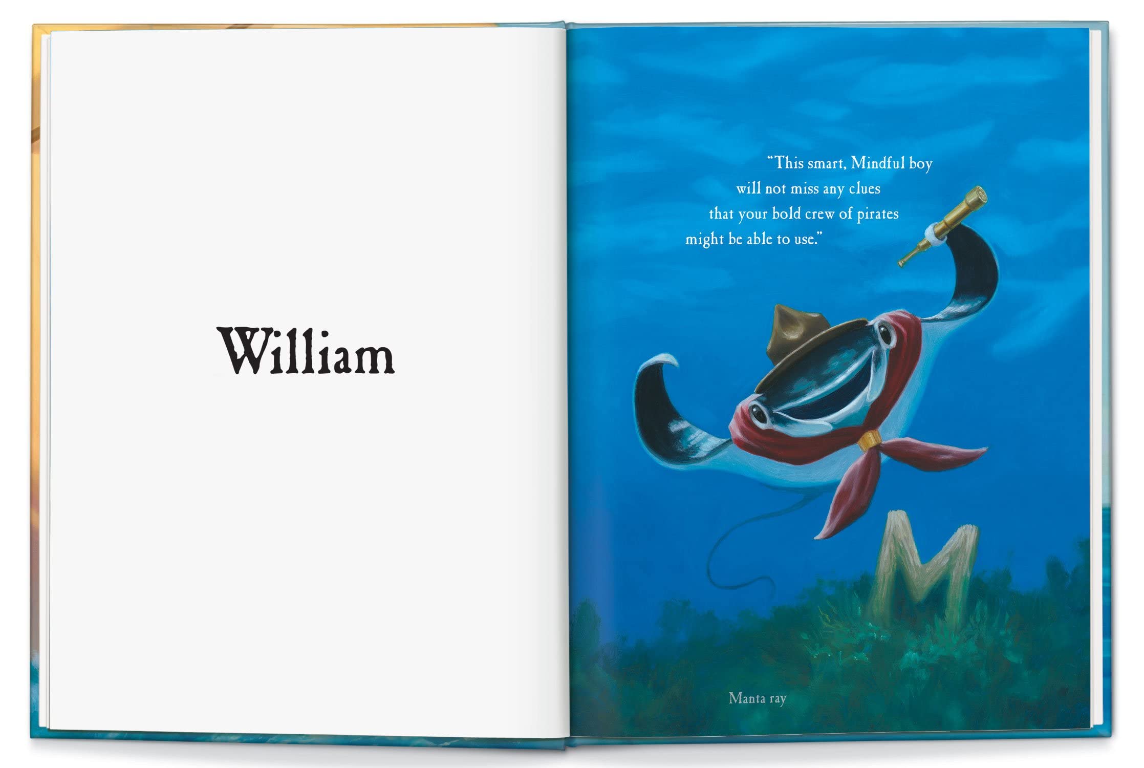 My Very Own Pirate Tale - Personalized Children's Story - I See Me! (Hardcover)