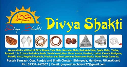 Divya Shakti Black Very Rare Lakshmi Narayanam Shaligram ji Stone from Gandaki River Nepal -Set of 2 Pieces