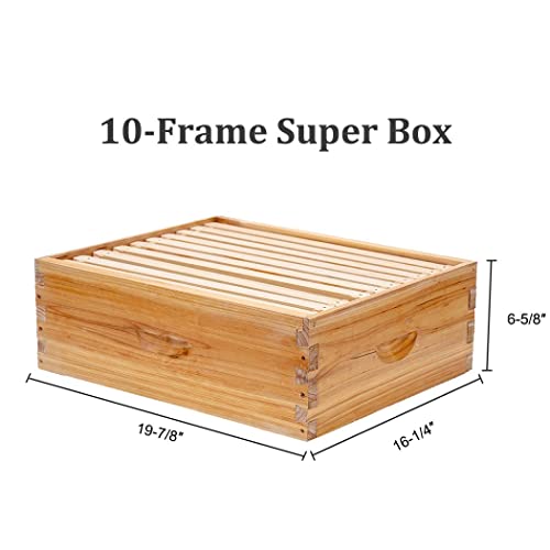 BeeCastle 10-Frames Complete Beehive Kit, 100% Beeswax Coated Bee Hive Includes Beehive Frames and Beeswax Coated Foundation Sheet (2 Layer)