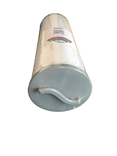 Arctic Spa Silver Sentinel Threaded Filter - 2009-current Models
