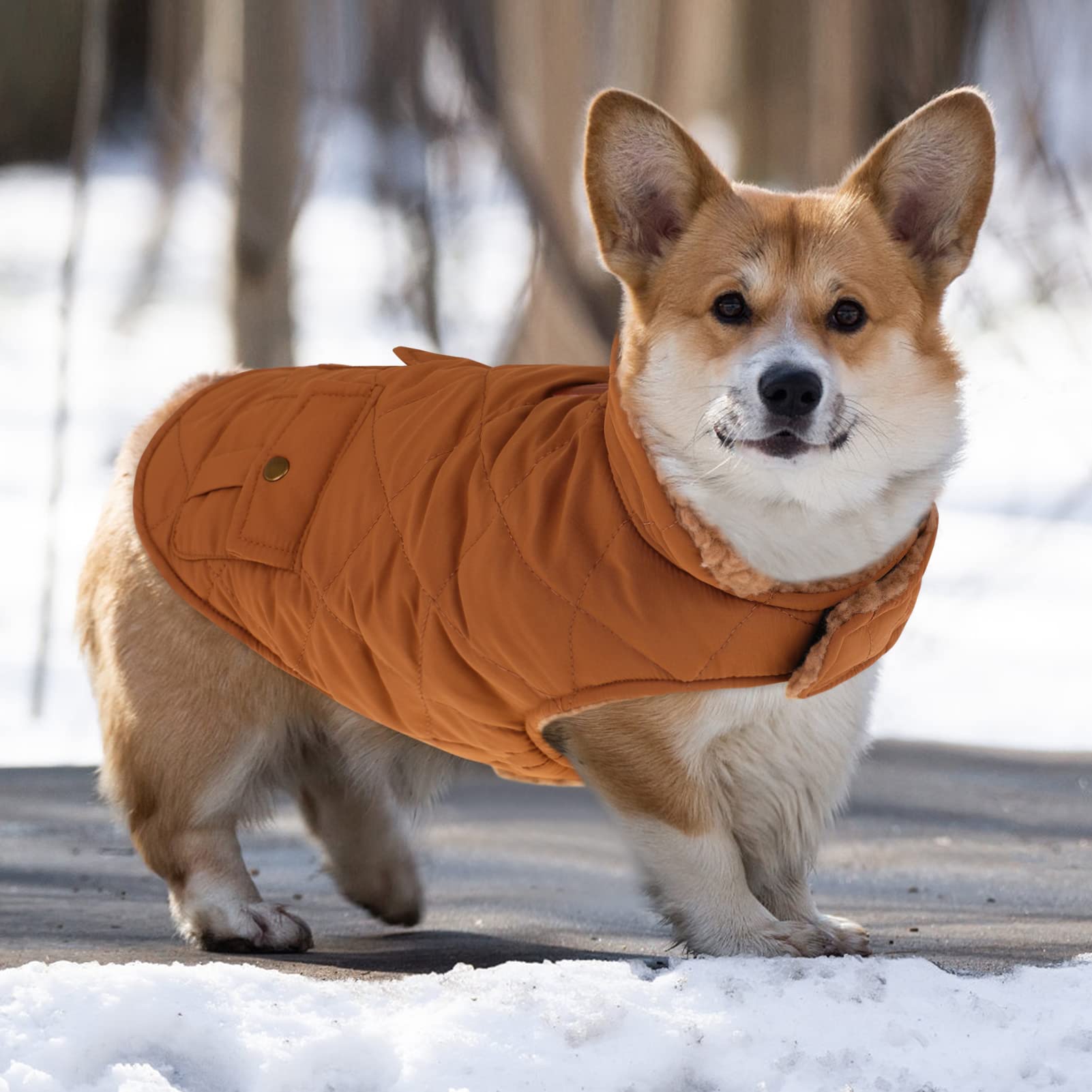Queenmore Warm Dog Coat, Cold Weather Puffer Dog Coat, Quilting Winter Dog Jacket Ultra Thick Plush Lining with Storage Pockets (Brown, Small)