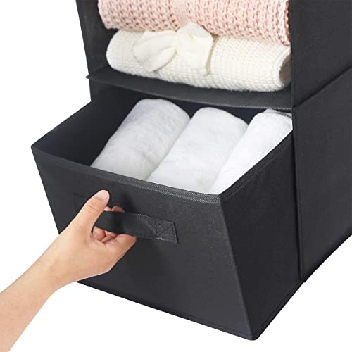 MAX Houser Hanging Shelf Closet Storage Organizer Removable Drawers ,Hanging Storage Organizer Hanging Sweater 2 Sock Underwear Drawers for Closet, Bedroom, Black