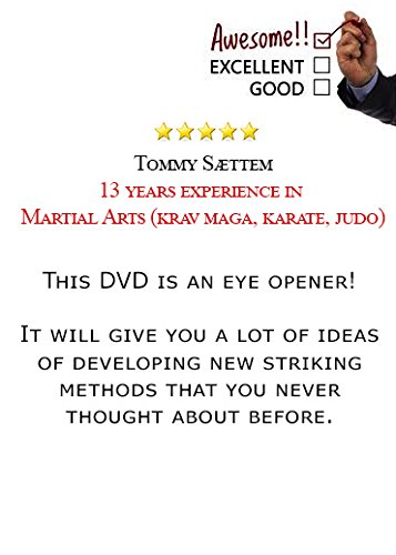 HAND-TO-HAND COMBAT DVD #4: Strikes - Punches - Kicks by Russian Systema Spetsnaz, Street Self-Defense Training DVD, Russian Martial Art Instructional Video