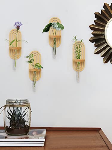Biubee Plastic Wall Hanging Planter Tubes with Wooden Holders- 4 Set Separate Wall Mounted Propagation Plant Station Stable Hanging Test Tube Vase for Indoor Hydroponics Plants Home Office Decor