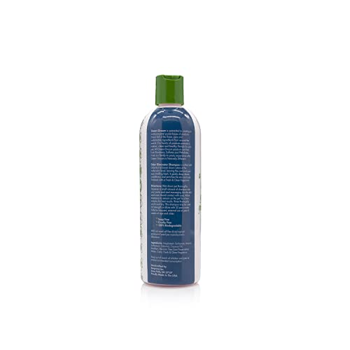 Green Groom Odor Eliminator Dog Shampoo, 16 oz - Crafted with Odortrol, All Natural Ingredients, Antioxidant Rich, Eliminates Smelly Pet Odors, Powerful Deodorizing Formula, Professional Grade