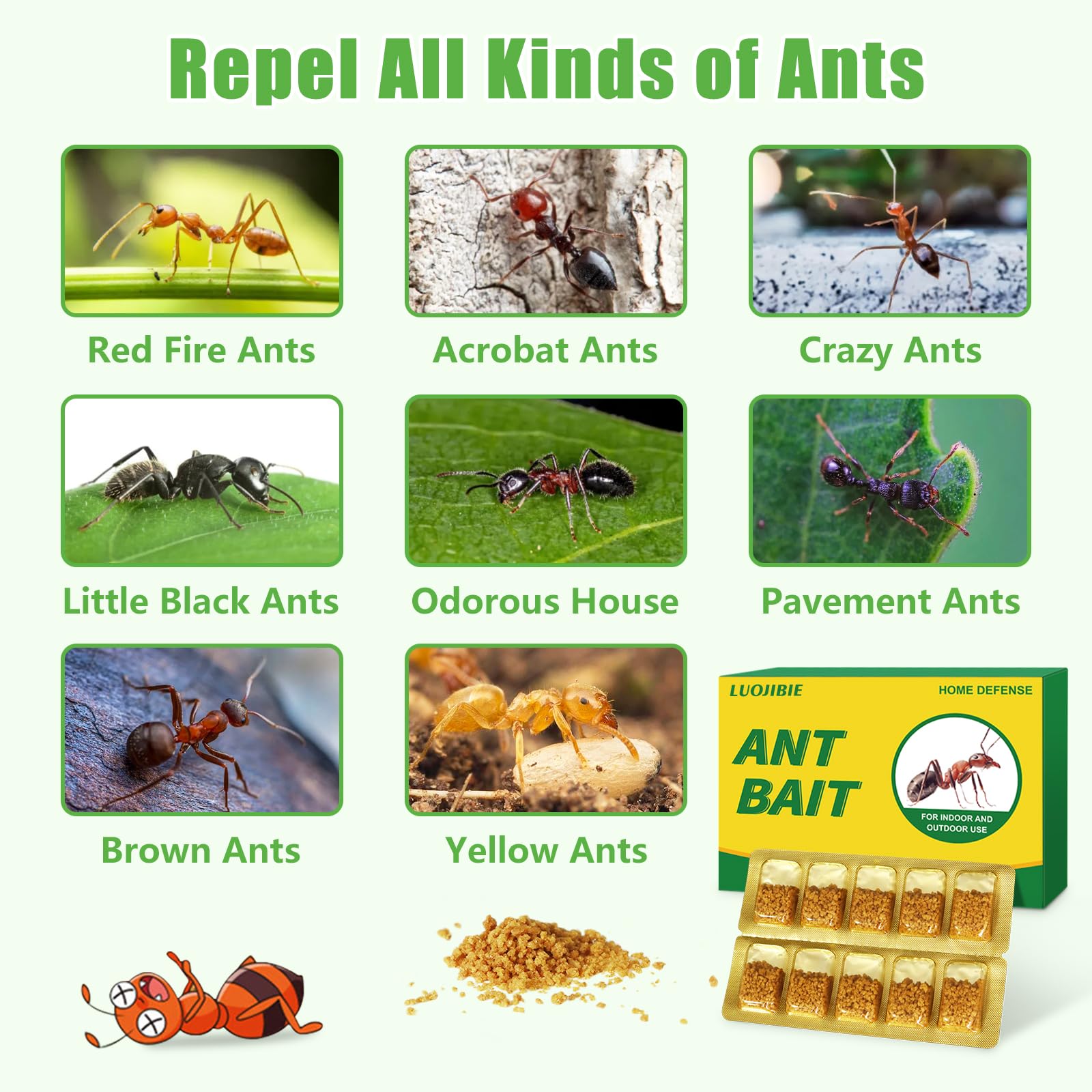 LUOJIBIE Ant Traps Indoor/Outdoor, Ant Killer Bait for Household Use, Ants Control, Strongly and Effectively Ants Repellent-10 Count