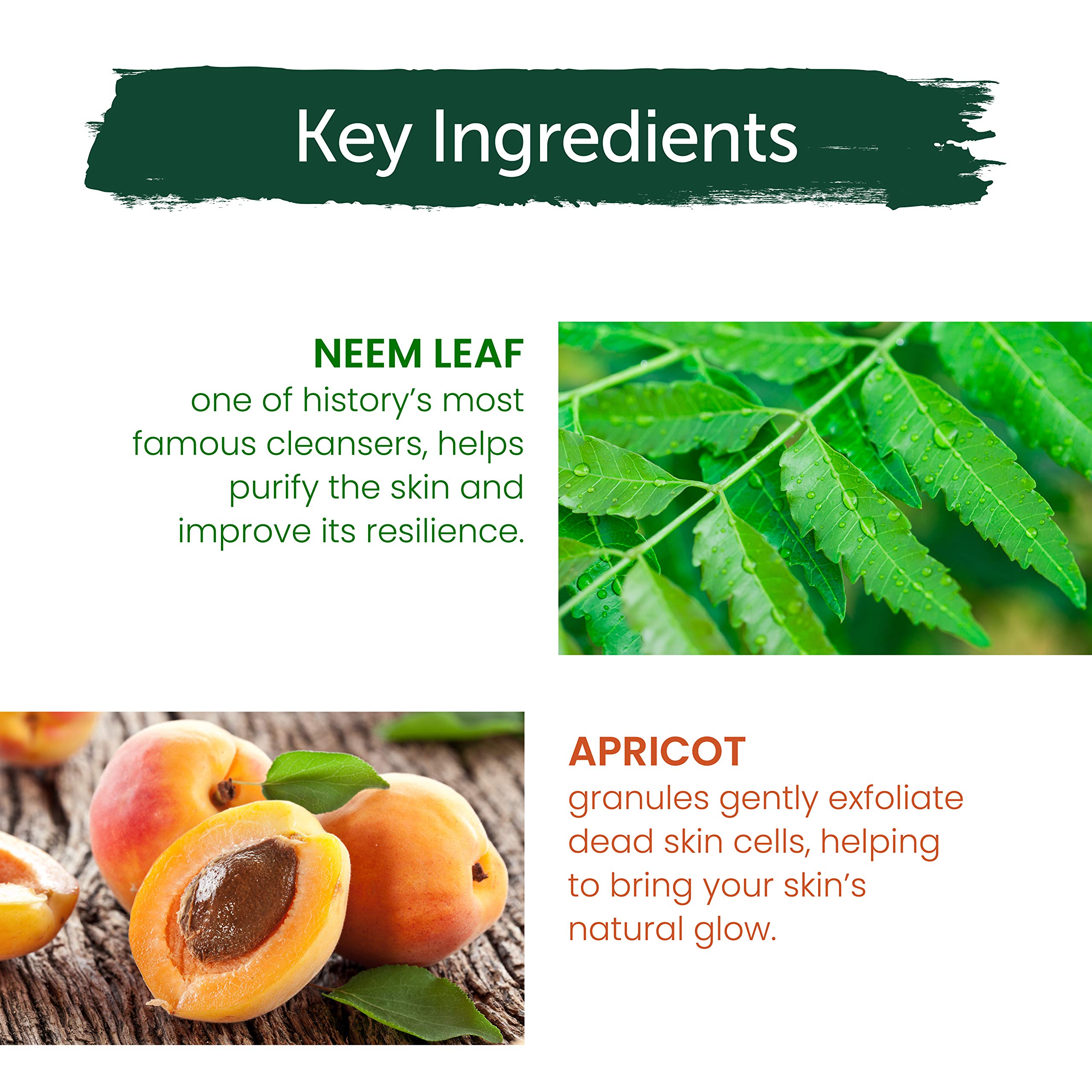 Himalaya Purifying Neem Scrub for a Deep Clean, Exfoliate and Purifies for Clean and Radiant Skin, 5.07 oz