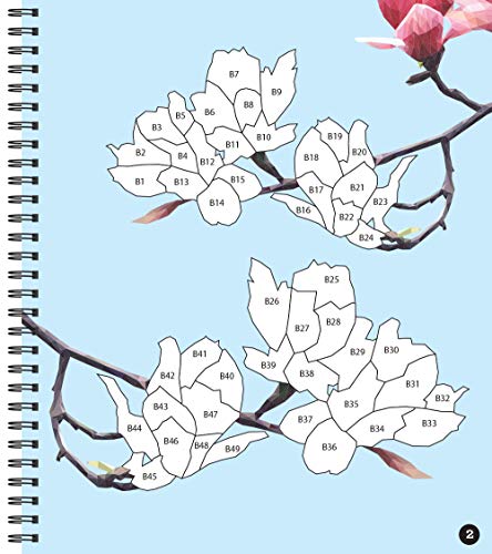 Brain Games - Sticker by Number: Country Garden