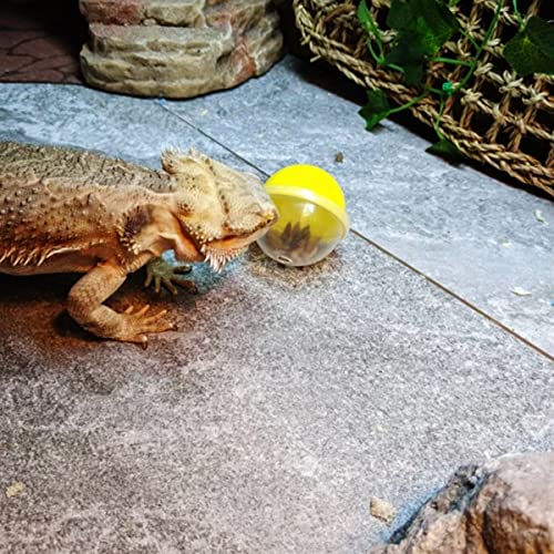 CooShou 6Pcs Lizard Bearded Dragon Feeding Toys Ball Reptile Food Toys Ball Lizard Interactive Toys for Bearded Dragon, Lizard, Gecko and Small Animals