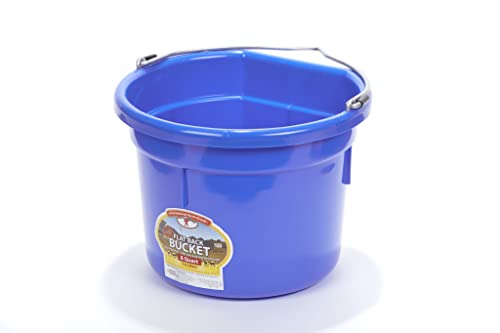 Little Giant® Flat Back Plastic Animal Feed Bucket | Animal Feed Bucket with Metal Handle | Horse Feed & Water Bucket | 8 Quarts | Blue