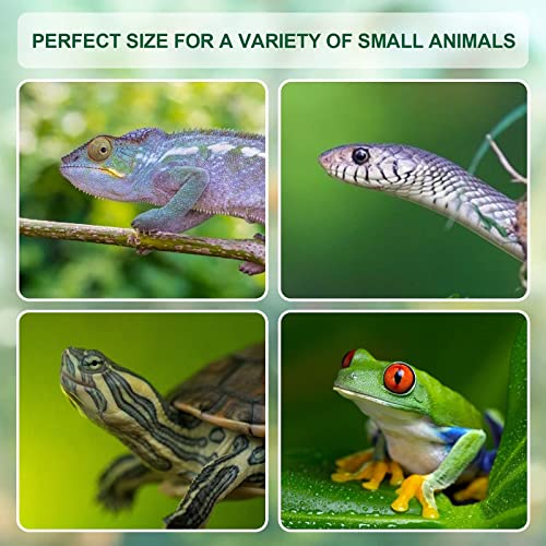BETAZOOER Reptile Terrarium Breeding Tank Acrylic Reptile Feeding Box with Temperature Hygrometer (15.3"x9.7"x7.6")