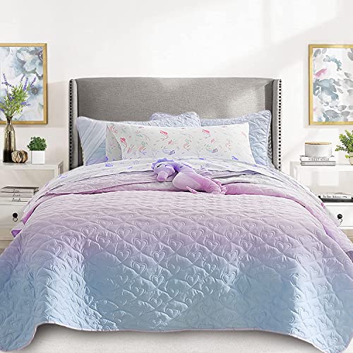 DREAMCLOUD HOME Quilt Set Full Queen Size 3 Piece, Bailey Pattern Printed Bedding Coverlet Set, Lightweight Soft Reversible Bedspread Sets for All Season (1 Quilt & 2 Pillow Shams)