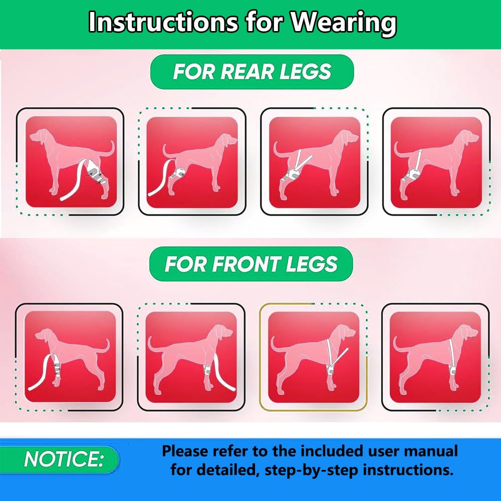 Premium Dog ACL Knee Brace for Torn ACL Hind Leg Support - Cruciate Care & Recovery, Adjustable Leg Braces for Back Leg, Hip Support - Small, Medium, Large Sizes with Extra Stabilizers (Black, M)