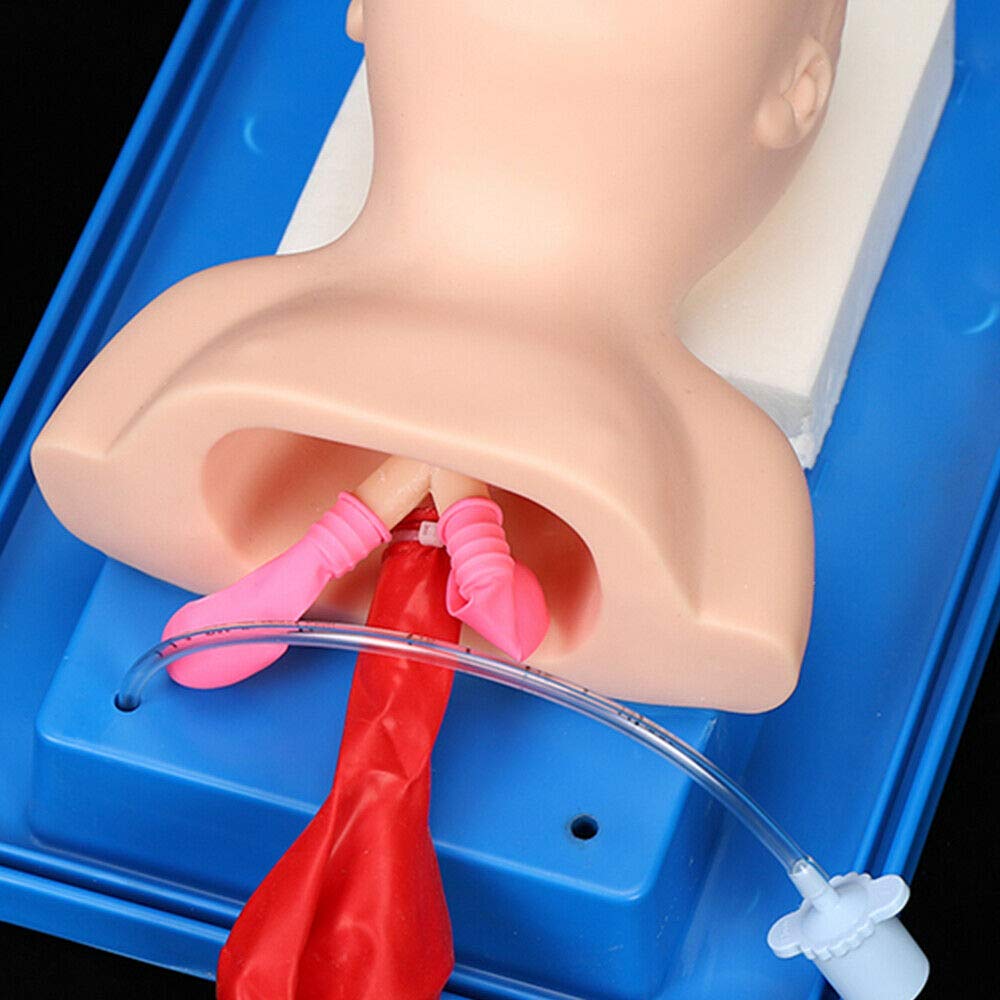 PVC Intubation Manikin Study Teaching Model Infant Baby Model Airway Management Trainer Tool with Tube (US Stock)