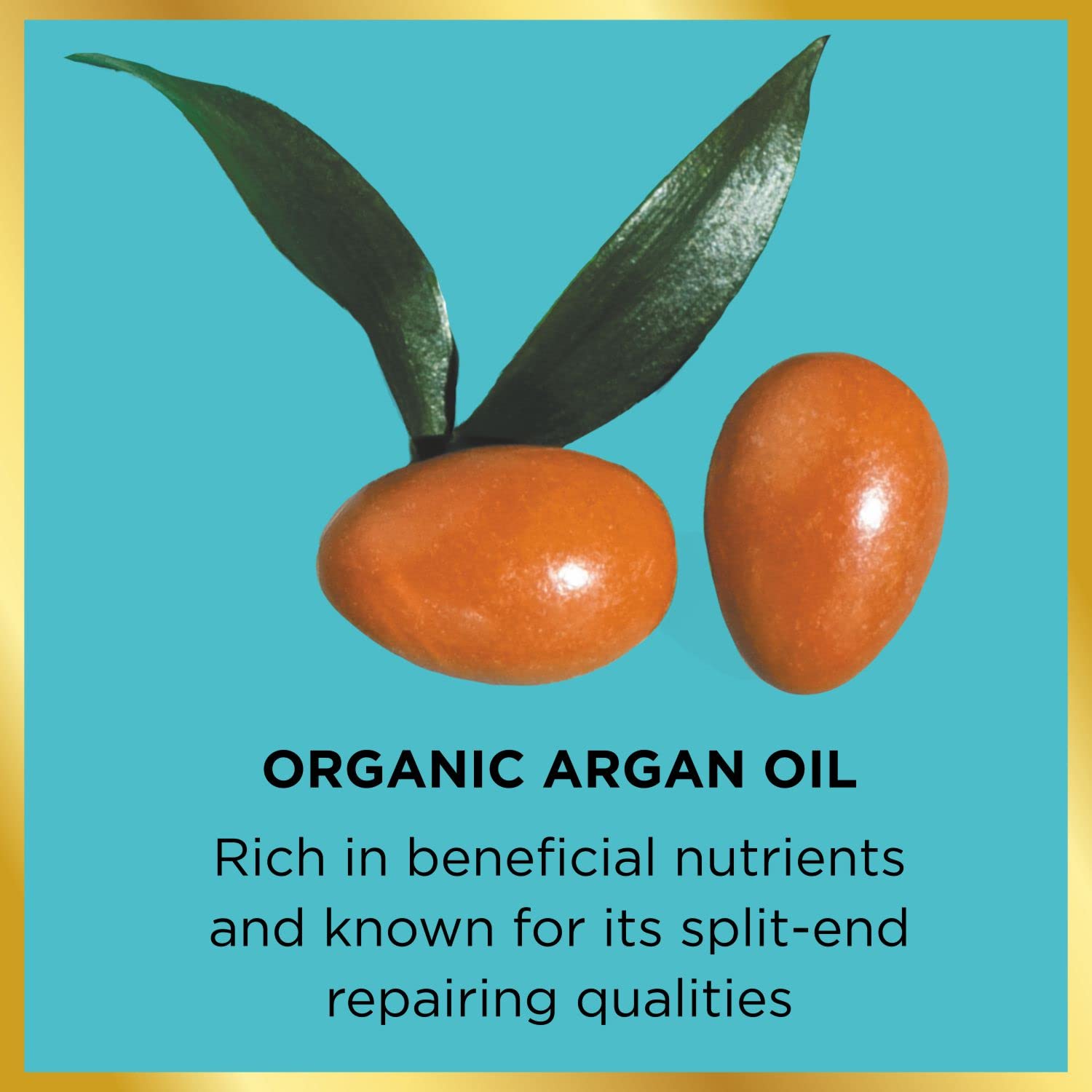 Hask Argan Oil From Morocco Repairing Deep Conditioner, Hair Treatment 1.75 oz (Pack of 3)