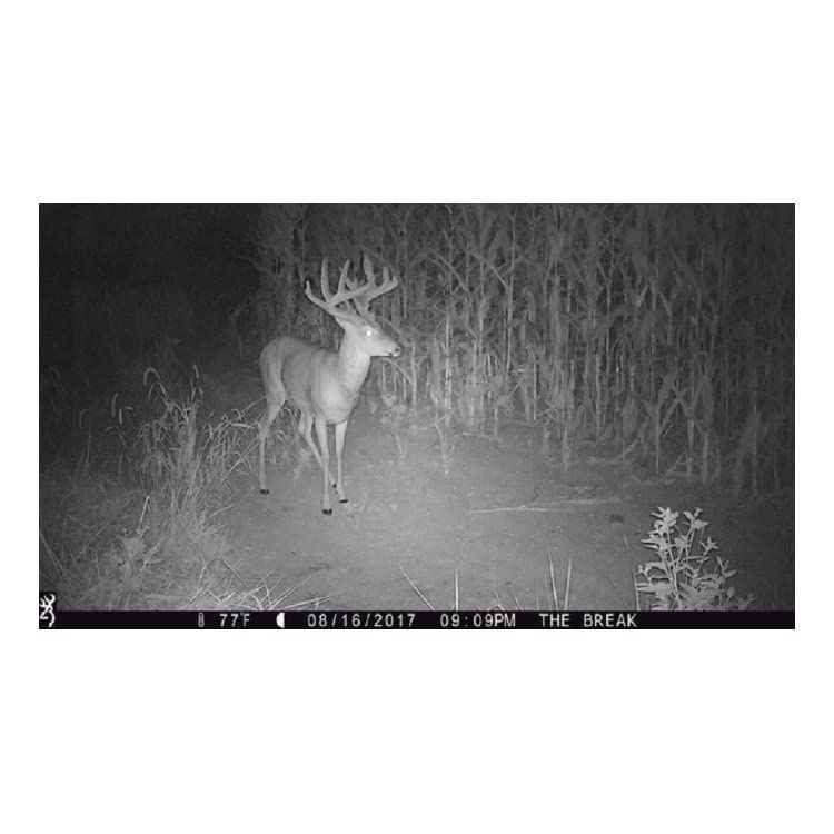 Browning Trail Cameras Strike Force Extreme 16MP Game Camera (4-Pack) Bundle with Cameras Sub-Micro Security Box (4-Pack), Locking Cable (4-Pack), 32GB Memory Card (4-Pack) and Card Reader (17 Items)
