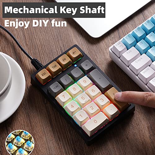 BRIMFORD Number Pad, Mechanical Numeric Keypad, RGB Digital Mechanical Keyboard 21 Keys with USB for Laptop, Notebook, Surface, Tabulation/Accounting Keypad (Shimmer Orange(PBT Keycaps))