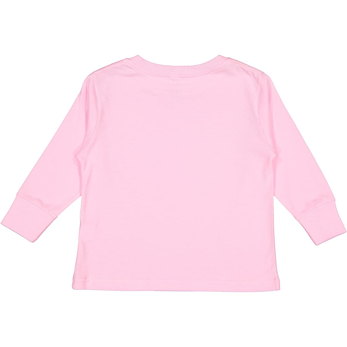 inktastic The Big Sister Toddler Long Sleeve T-Shirt 4T Pink D61d