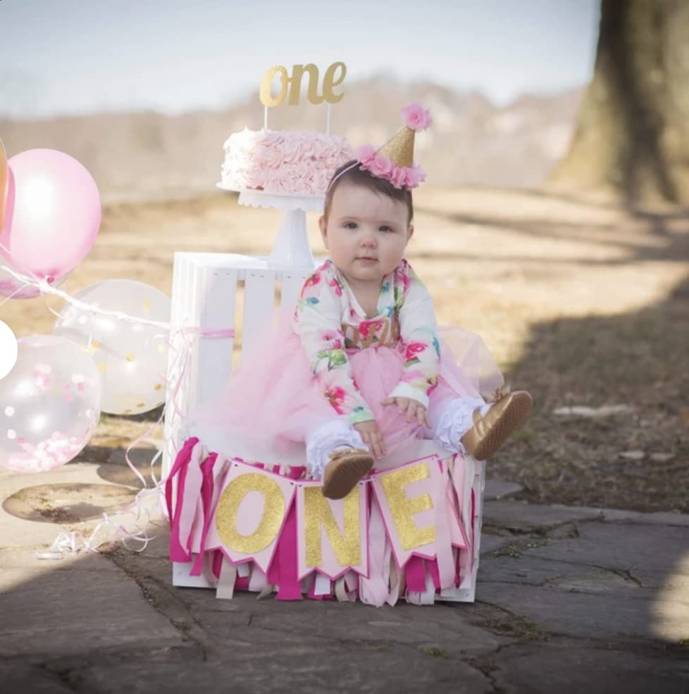 Grace and Lucille 1st Birthday Dress - White Floral Long Sleeve Dress with Pink Tutu, Gold Script (6-12 Months)