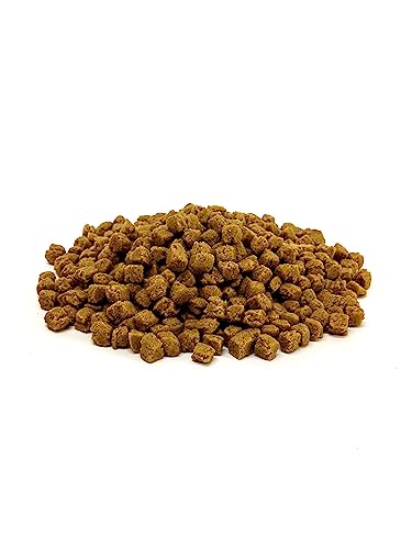 Harrison's Bird Food Power Treats with Red Palm Fruit Oil, 1 lb. 454g