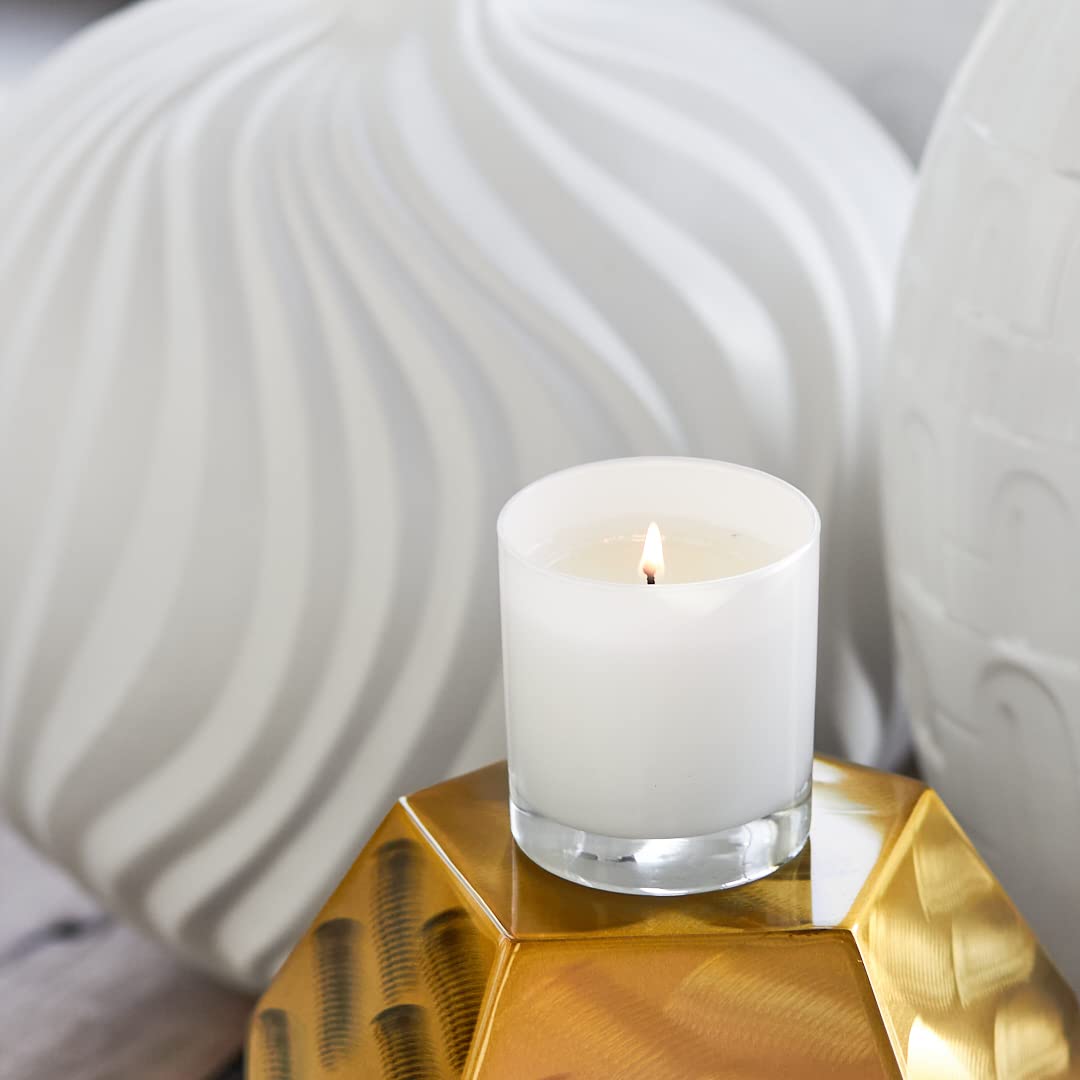 Trapp - No. 24 Wild Currant - 7 oz. Signature Candle - Aromatic Home Fragrance with Fruity Scent of Red Currant, Cassis Noir, & Spanish Moss Notes - Petrolatum Wax
