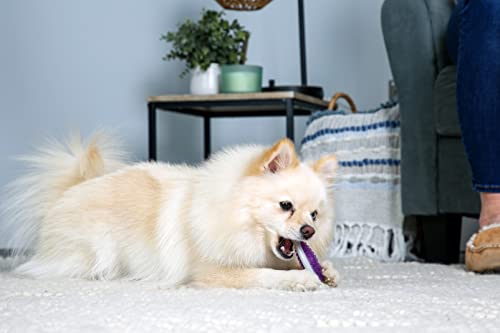 Hartz Chew 'n Clean Tuff Bone Bacon Scented Dental Dog Chew Toy - Extra Small