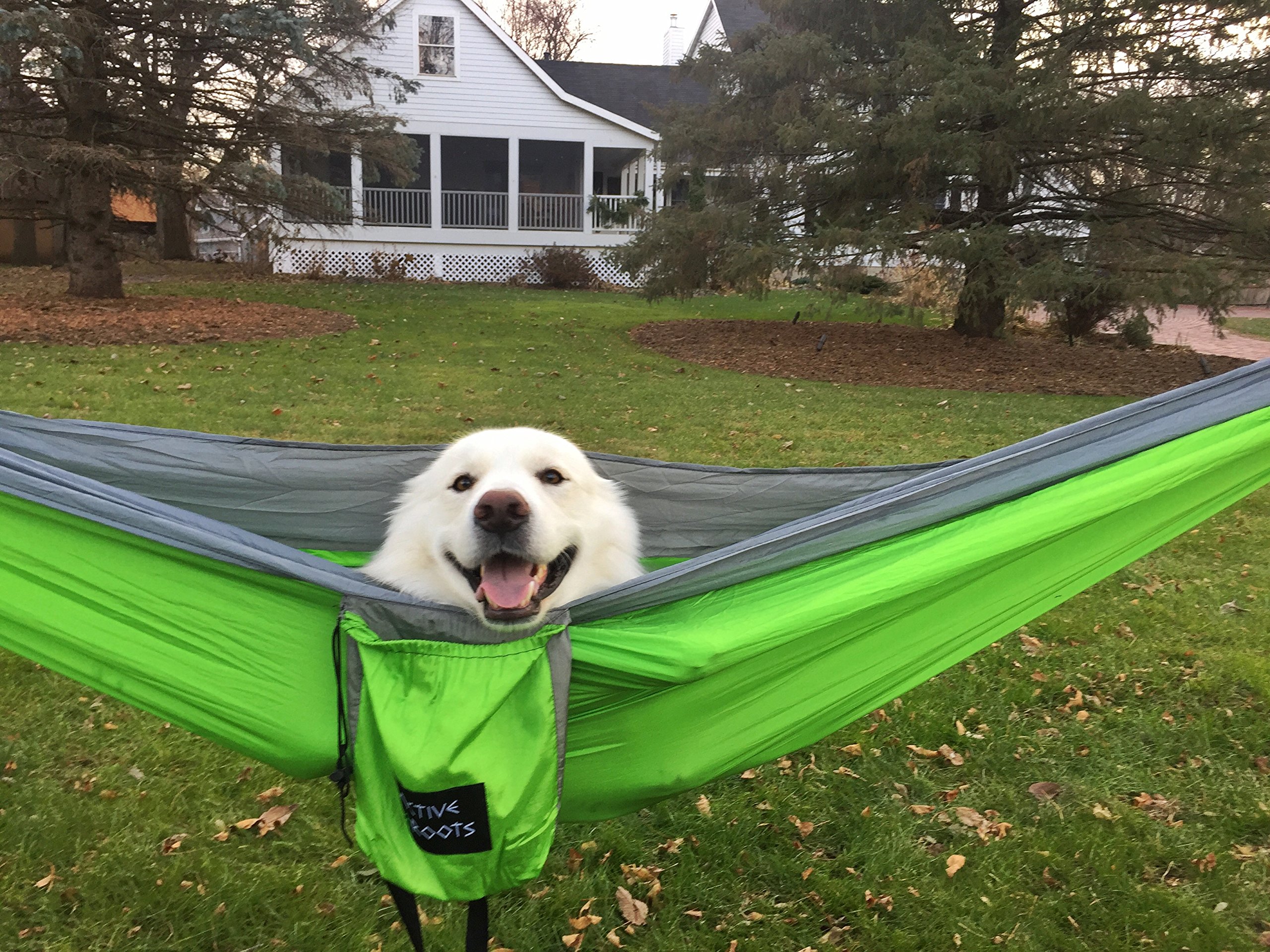 Active Roots Double Camping Hammock with Tree Straps - Portable Hammock, Parachute Nylon Lightweight Hammock for Backpacking, Travel, Indoor, Outdoor (Green/Grey)