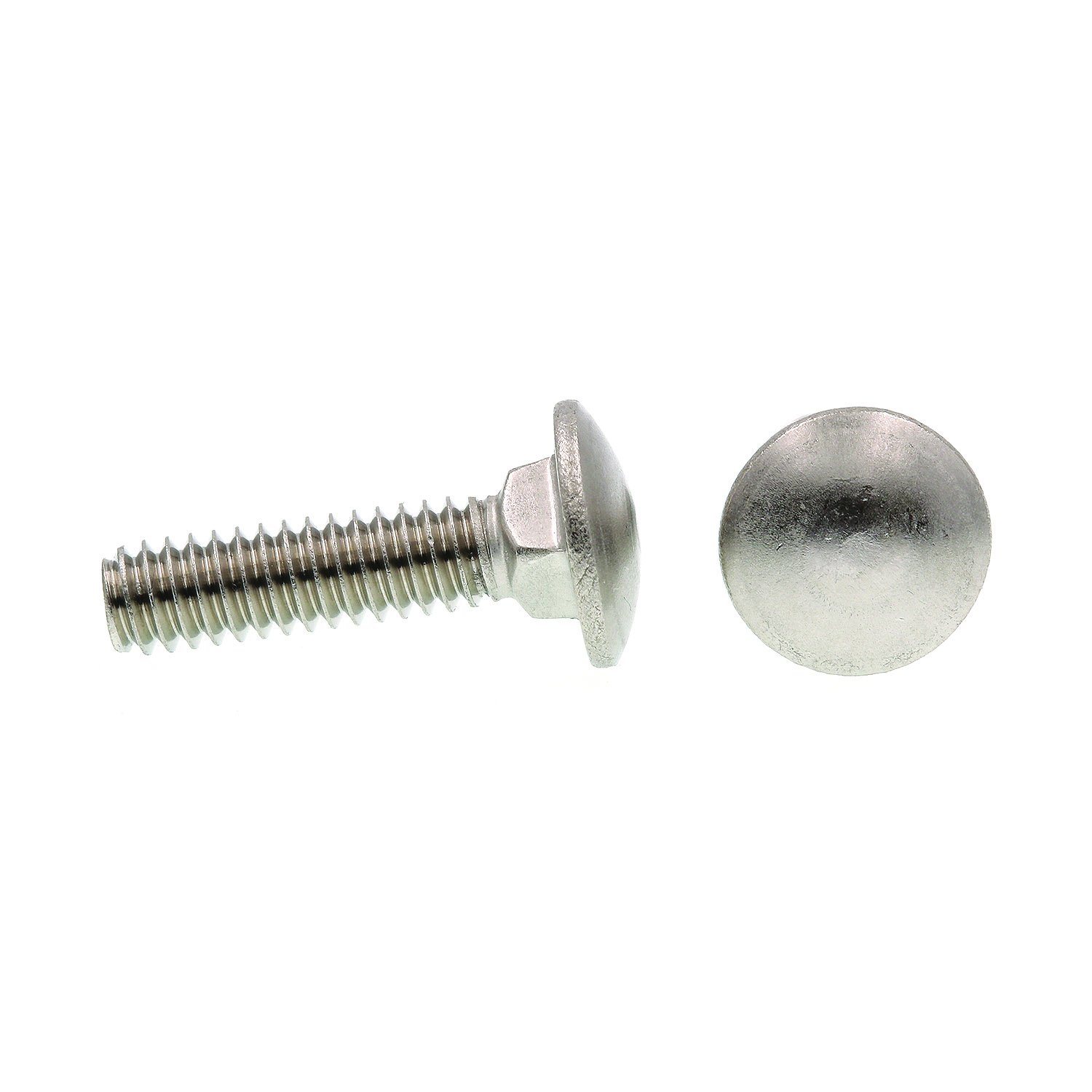 Prime-Line 9062165 Carriage Bolts, 1/4 In.-20 X 1 In., Grade 18-8 Stainless Steel (25 Pack)