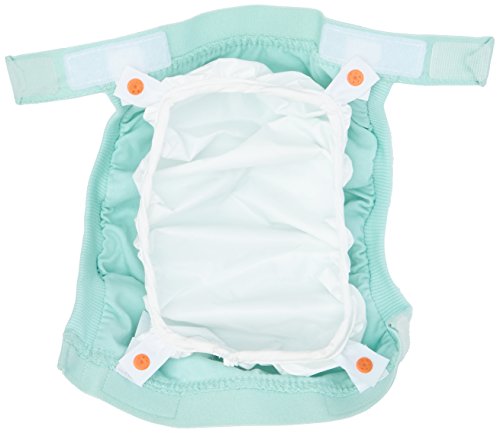 Gdiapers Gpants, Gulfstream Green, Small