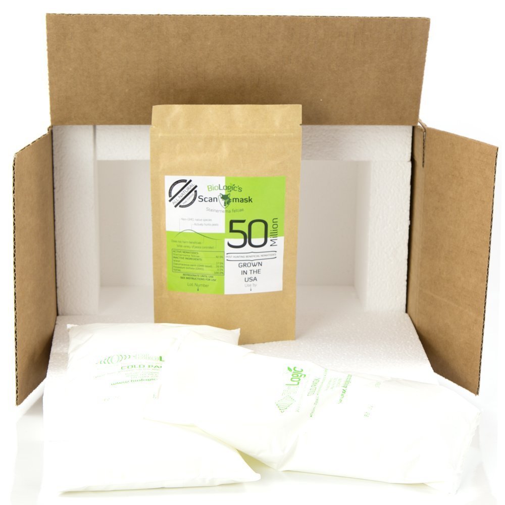 BioLogic's Scanmask Beneficial Nematodes, Steinernema feltiae Sf Nematodes for Natural Insect Pest Control (50 Million with Applicator)