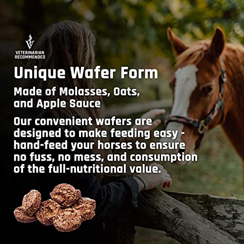 Majesty's Omega Wafers - Superior Horse / Equine Skin, Coat, and Immune Support Supplement - Omega 3, 6, 9, and Biotin - 30 Count (1 Month Supply)