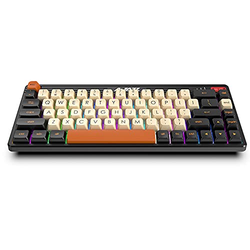 EPOMAKER K690T 65% Hotswappable 2.4Ghz Wireless/Bluetooth 5.0/Wired Mechanical Gaming Keyboard, RGB NKRO with Doubleshot PBT Keycaps, 2000mAh Battery for Win/Mac (Kailh Red Switch, K690T)