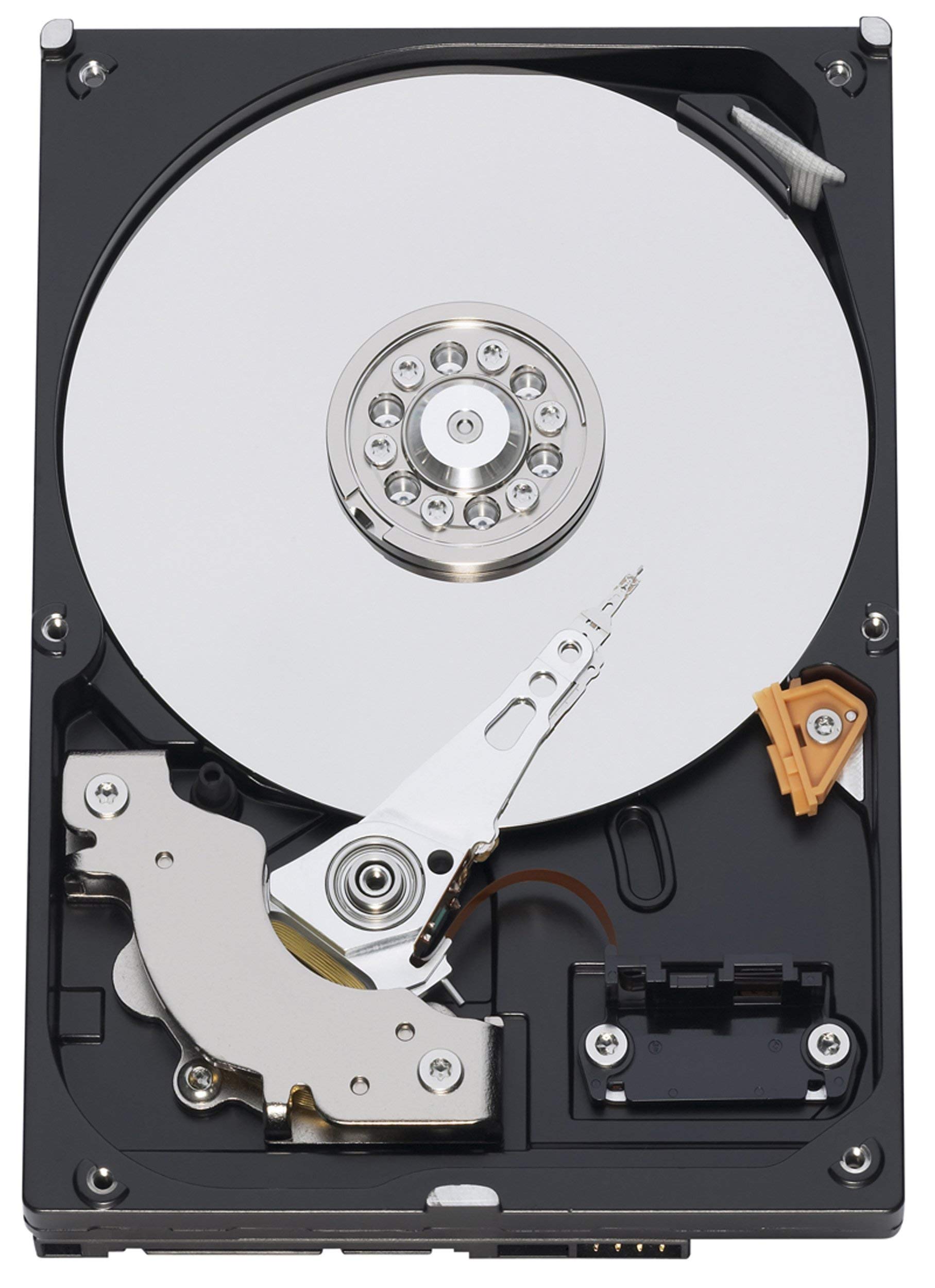 Western Digital 500GB 7.2K ENT SATA 3.5 3GBPs Hard Drive WD5002ABYS (Renewed)