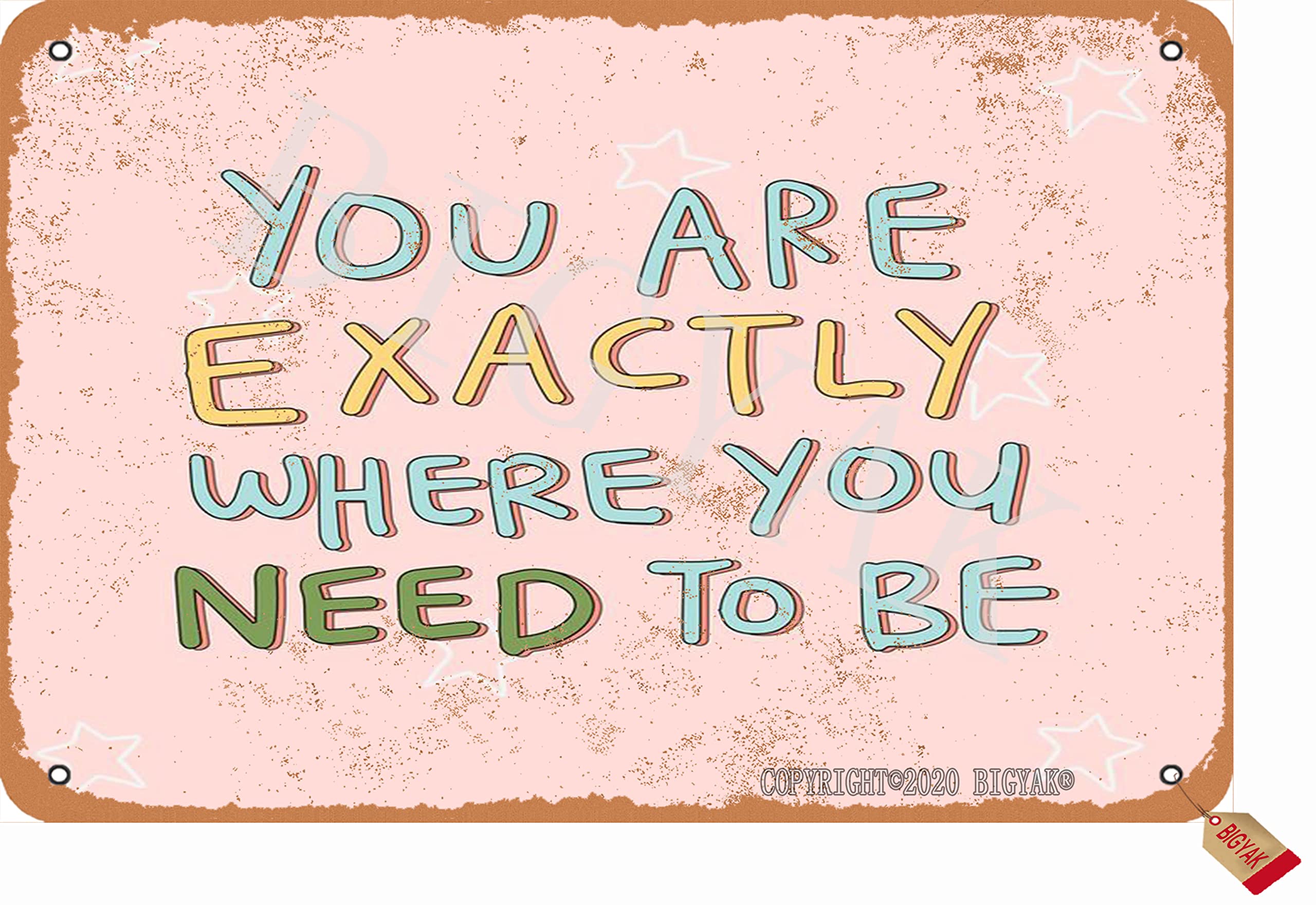 You are Exactly Where You Need to Be Iron Vintage Look 20X30 cm Decoration Painting Sign for Home Kitchen Bathroom Farm Garden Garage Inspirational Quotes Wall Decor