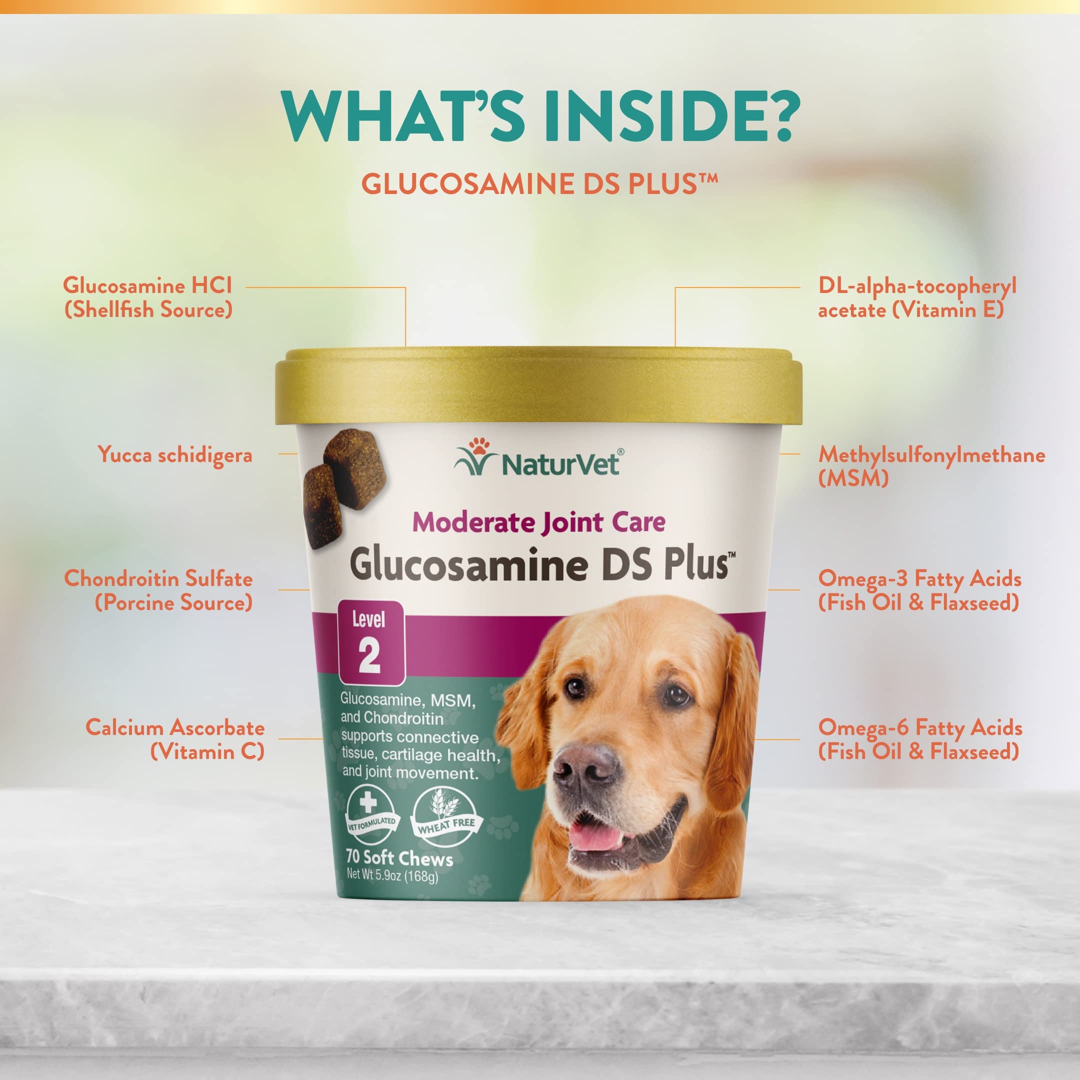 NaturVet – Glucosamine DS Plus - Level 2 Moderate Care – Supports Healthy Hip & Joint Function – 70 Soft Chews & Advanced Probiotics and Enzymes Supplement, Plus Vet Strength Probiotic 70 Soft Chews