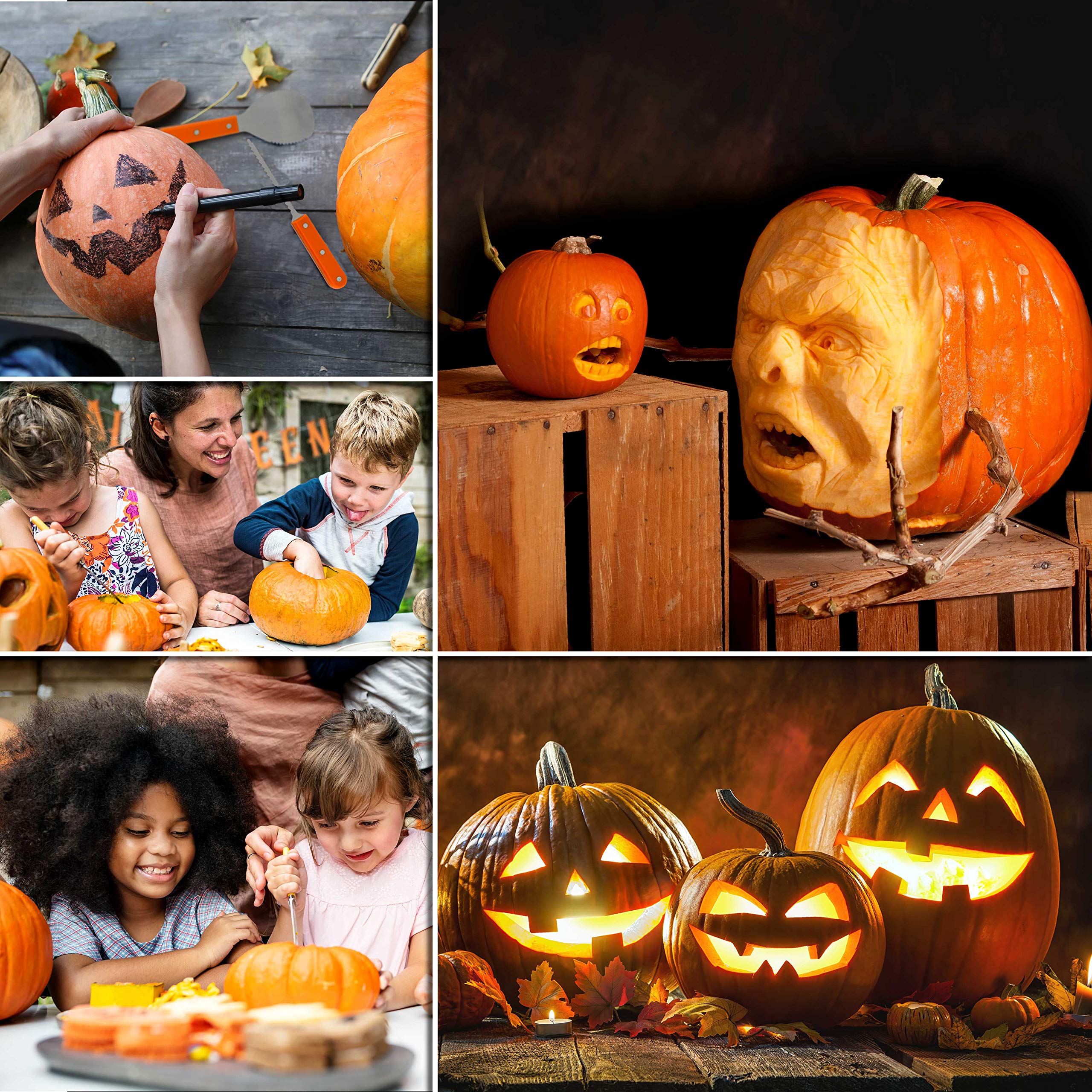 Halloween Haunters Ultimate 14 Piece Professional Pumpkin Carving Tool Kit - Easily Carve Sculpt Halloween Jack-O-Lanterns - 18 Cuts, Scoops, Scrapers, Saws, Loops