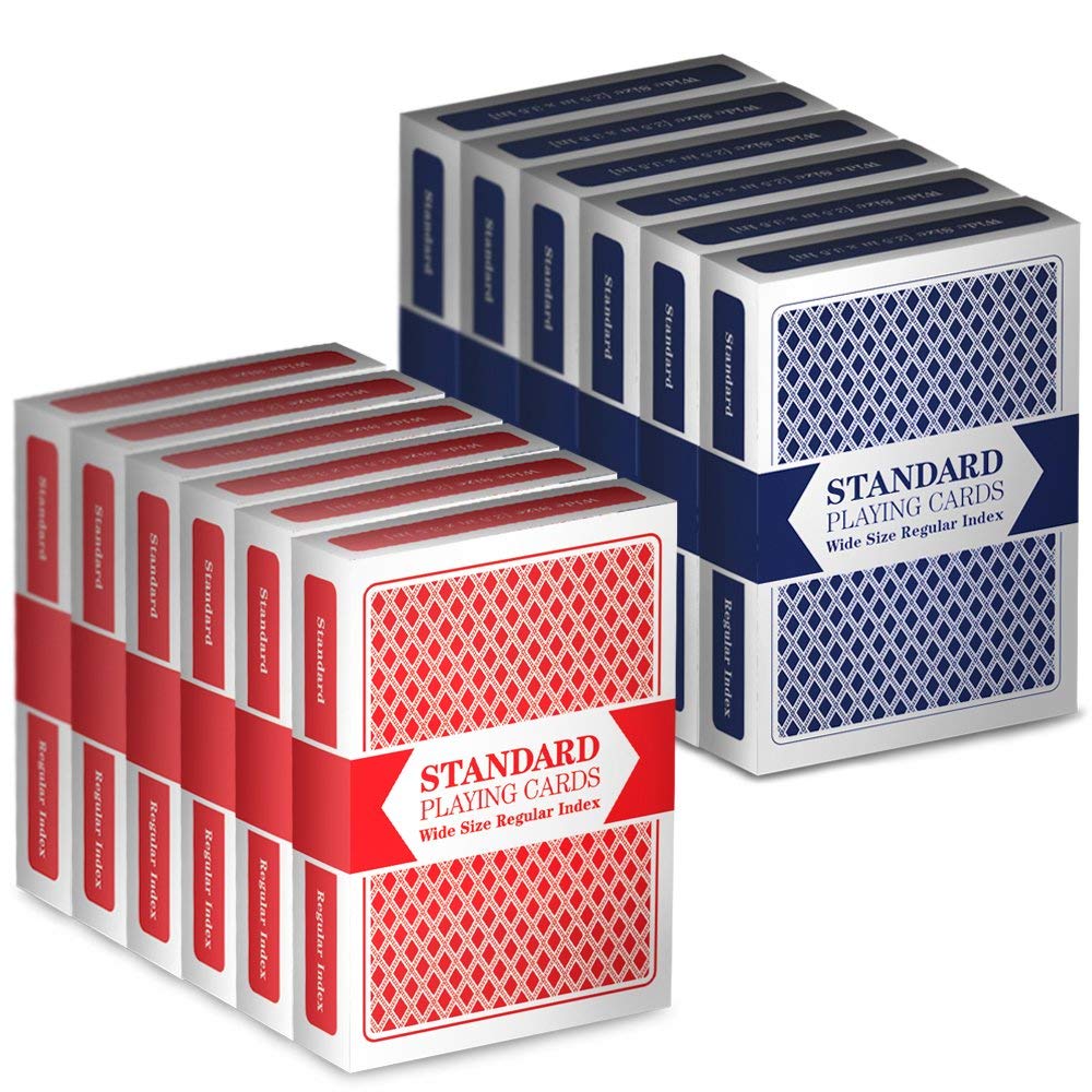 Blackjack Basics Set - Includes Blackjack Dealer Shoe + Discard Tray & 12 Decks of Plastic-Coated Playing Cards (6 Red, 6 Blue) - Casino-style Card Game Pack for Gambling Games & Family Game Night