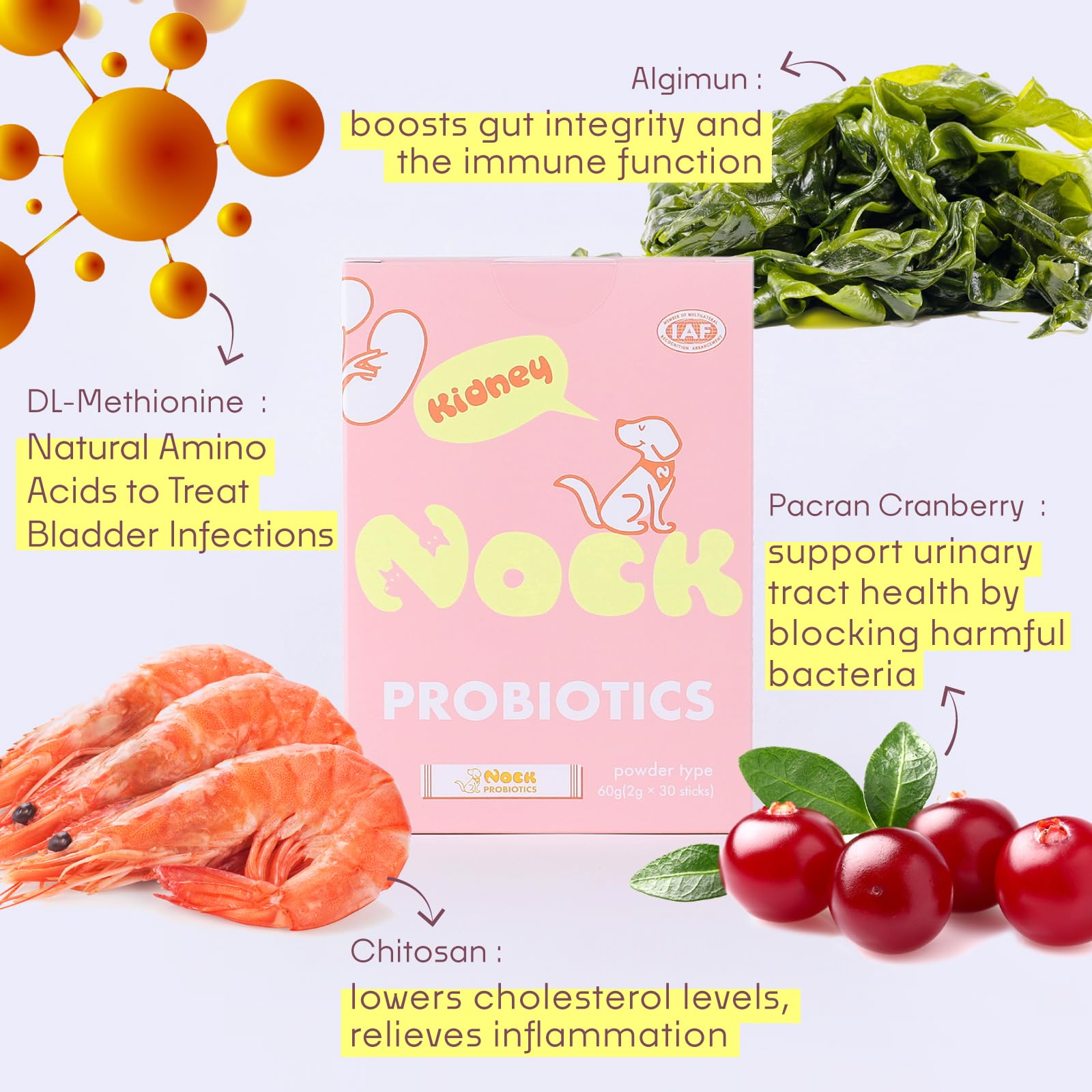 NOCK Probiotics for Dogs,Improve Kidney Function, Support Urinary Tract Health Supplement for Your Dogs Stomach, Intestine Health(220 Billion CFUs Per)
