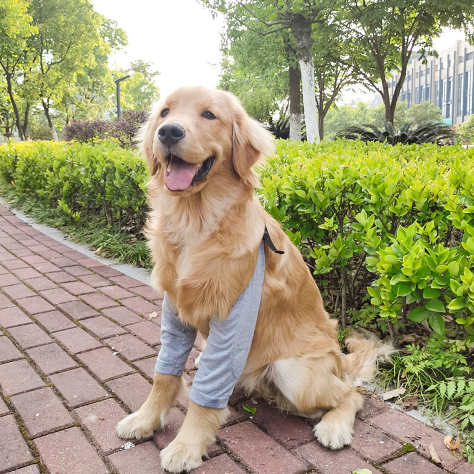 Dog Elbow Protector for Calluses, Dog Recovery Suit for Front Legs, Soft Recovery Sleeves with Elastic Band,Knee Brace Protector Pads for Medium Large Dogs,Elbow Joint Support Wrap Stop Licking Wounds