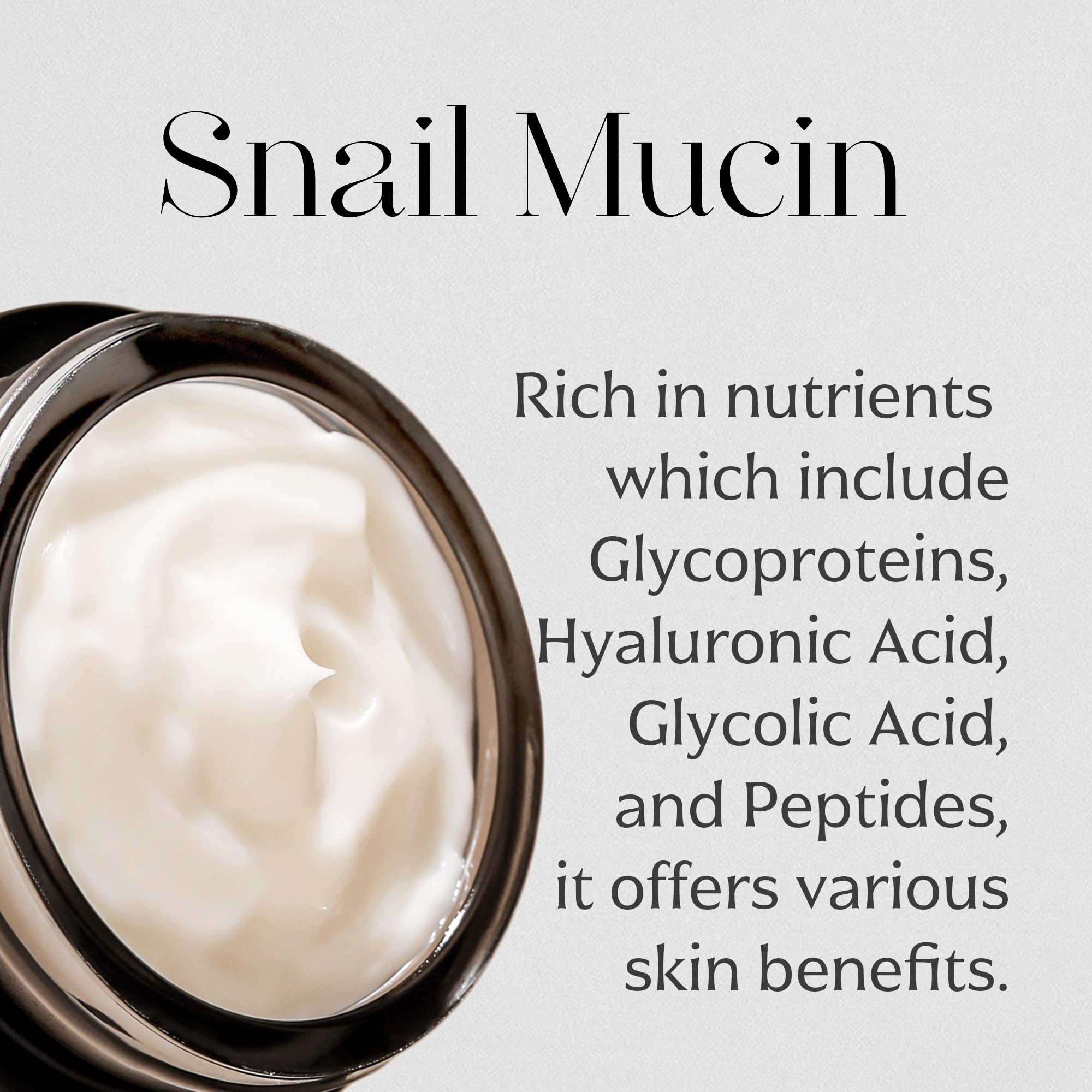 MIZON Black Snail All In One Cream Intensive Korean Skin Care Facial Moisturizing Snail Mucin Extract (2.54 fl oz)