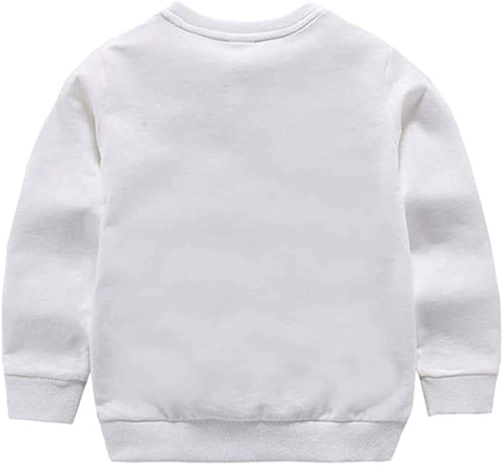 HAXICO Unisex Kids Solid Cotton Pullover Sweatshirt T-Shirt Toddler Baby Boys Girls Crewneck Long Sleeve T-Shirt Tops Blouse White, 2T